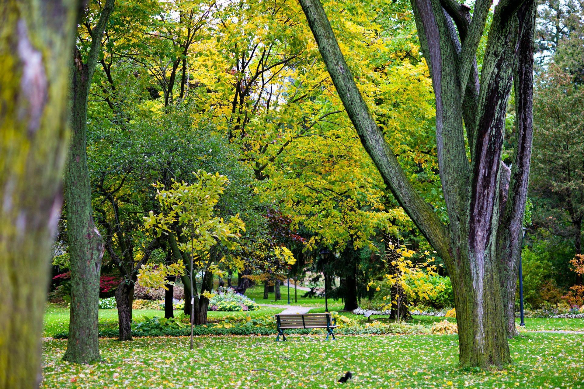 The Best Nature Escapes Within an Hour of Downtown Toronto - Almost ...